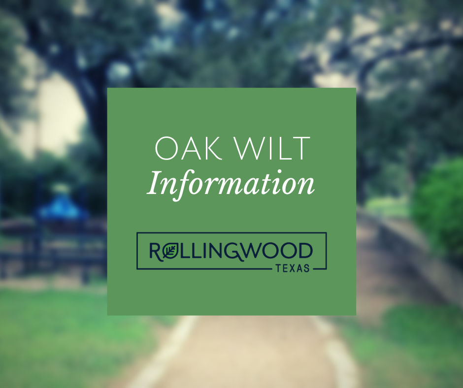 Oak Wilt Information | City of Rollingwood Texas